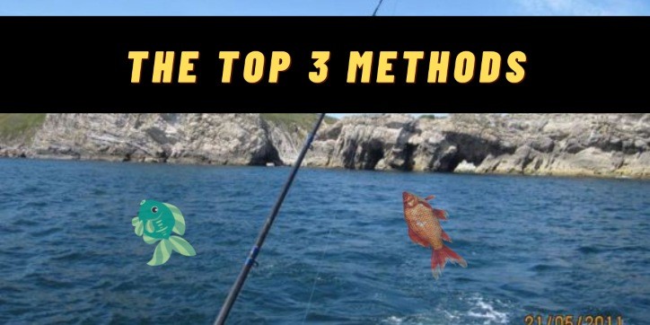 How To Fish From A Beach? (3 Proven Methods)