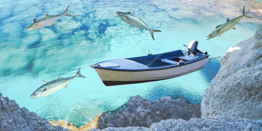 How to Catch Spanish Mackerel from the Surf - Best Methods