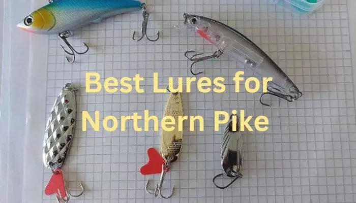 Best Lures For Northern Pike In 2023: Tried And Tested